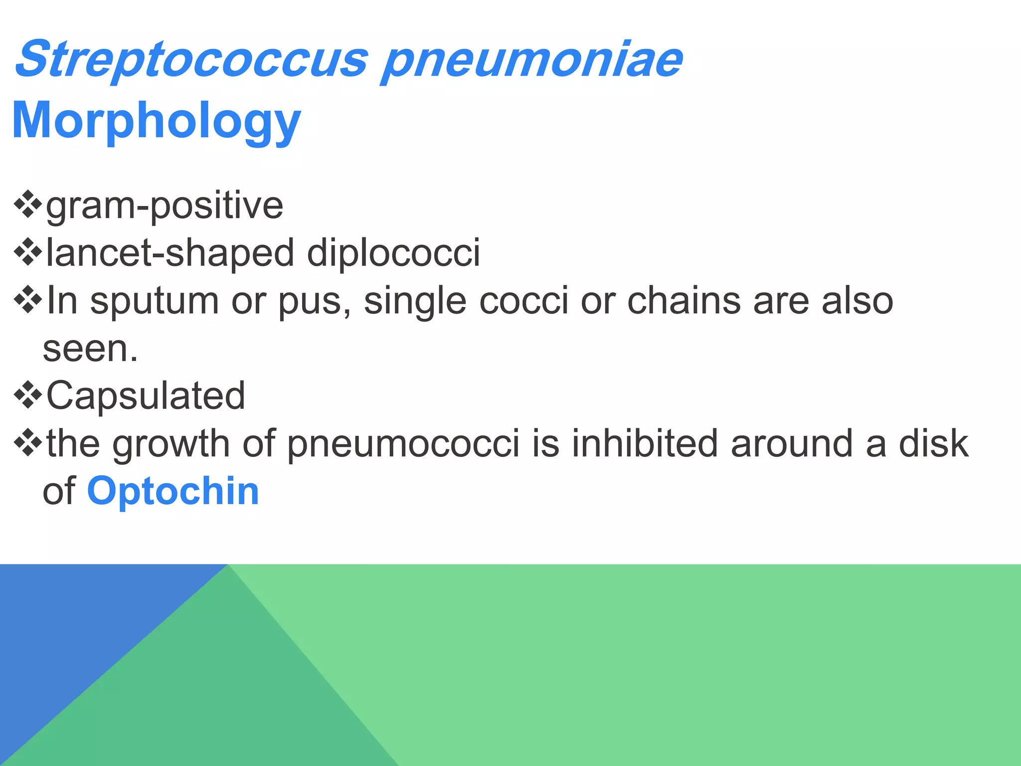 Streptococcus species.pdf