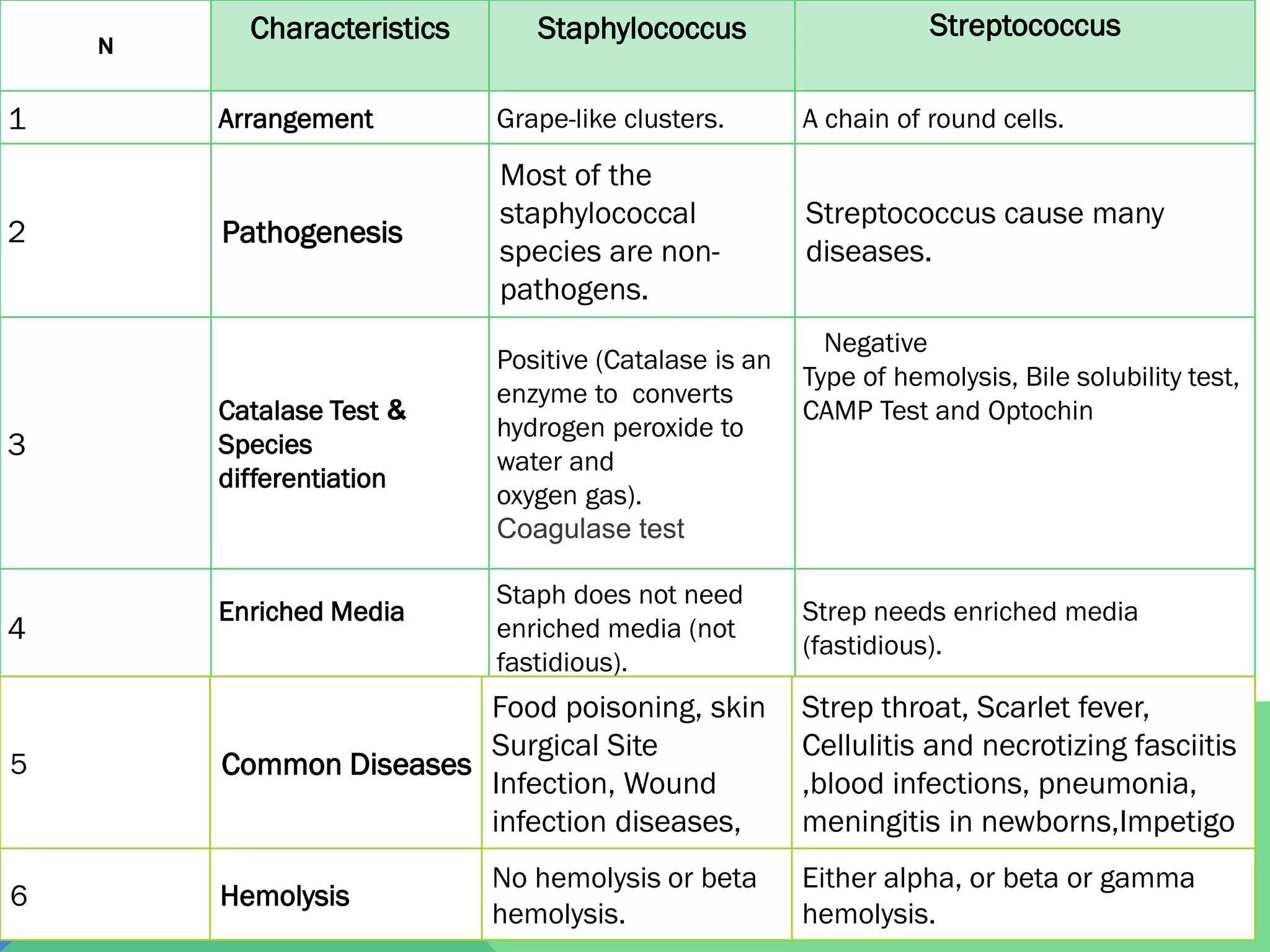 Streptococcus species.pdf