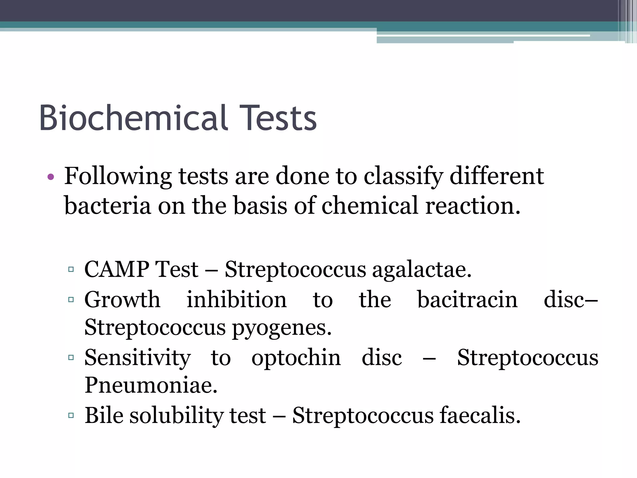Streptococcus Species.pptx