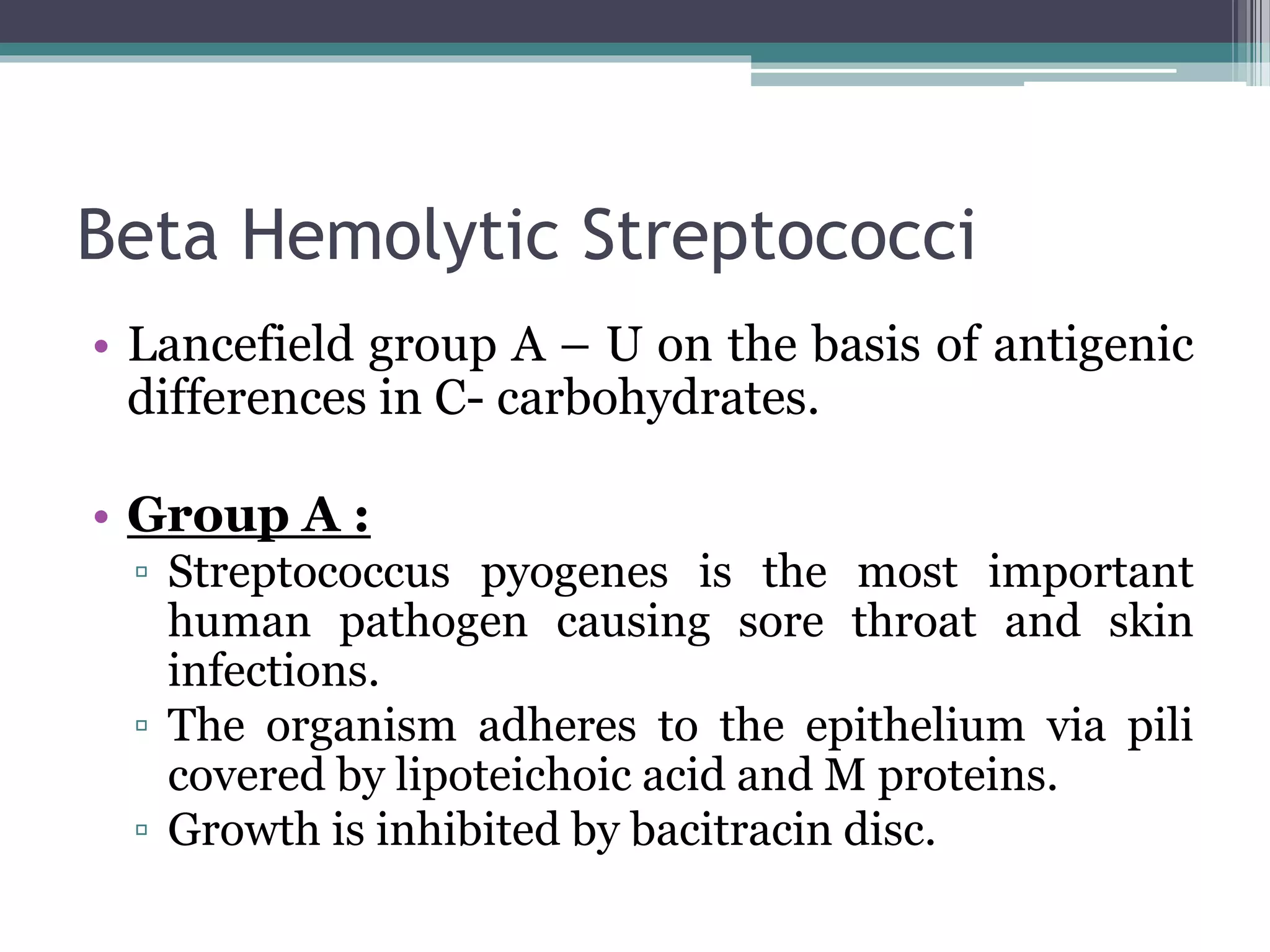 Streptococcus Species.pptx