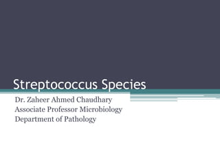 Streptococcus Species.pptx