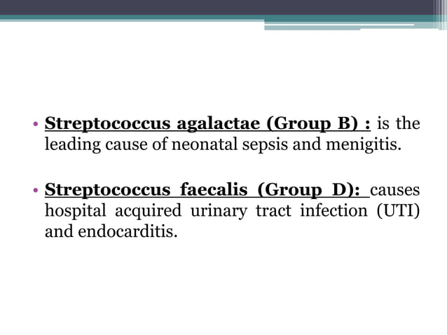 Streptococcus Species.pptx