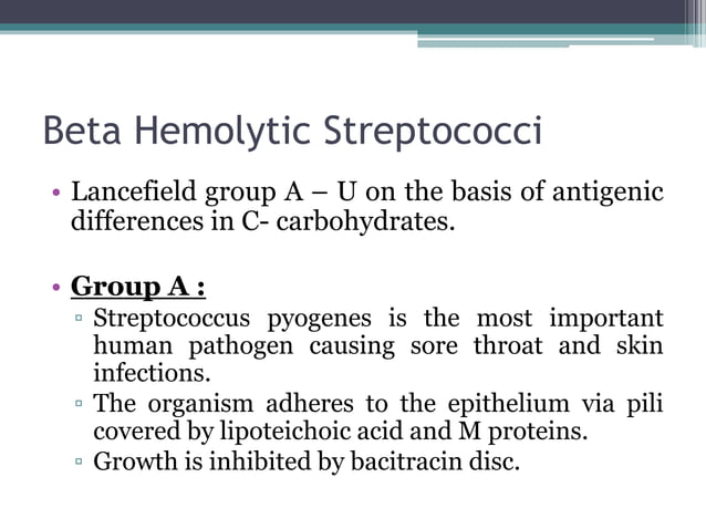 Streptococcus Species.pptx