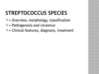 Streptococcus_Species_Explained_Notes.pptx