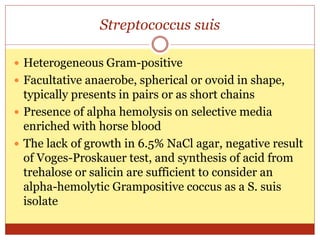 Streptococcus suis Meningitis.pptx