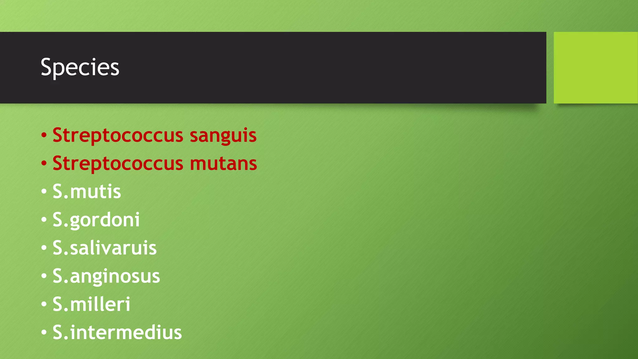 Streptococcus Viridans Bacteria Microbiology Lecture | PPTX