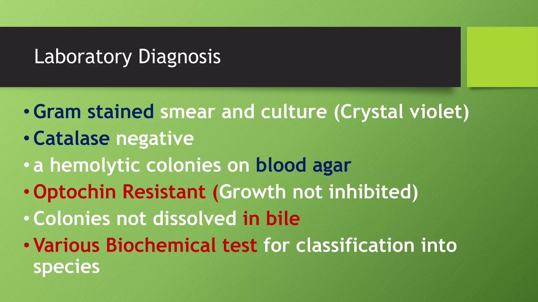 Streptococcus Viridans Bacteria Microbiology Lecture | PPTX