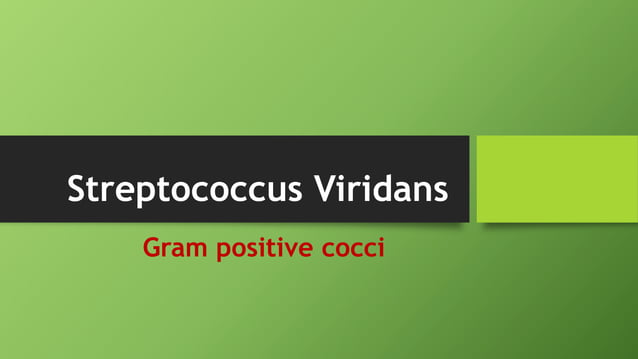 Streptococcus Viridans Bacteria Microbiology Lecture | PPTX