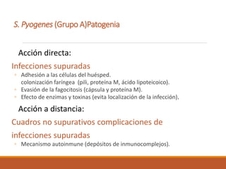 STREPTOCOCO aerius patologia modo de infeccion tratamiento | PPT