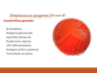 STREPTOCOCO aerius patologia modo de infeccion tratamiento | PPT