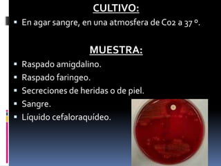 Streptococo betahemolitica del grupo a | PPTX