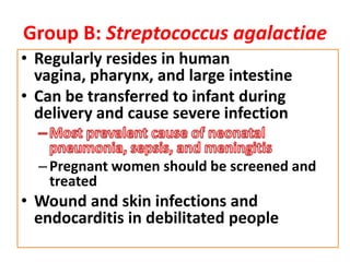 Streptococus deepa | PPT