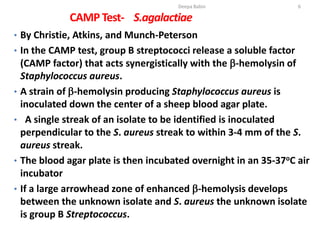 Streptococus deepa | PPTX