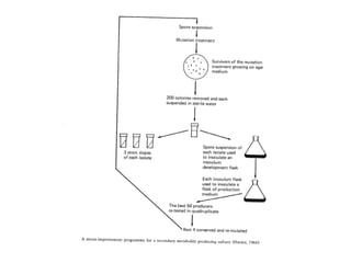 Streptomycin | PPTX