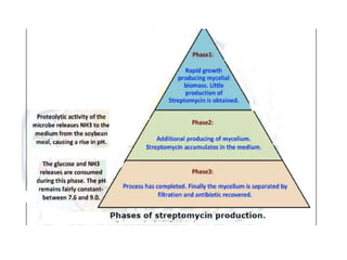 Streptomycin | PPTX