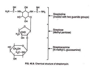 Streptomycin | PPT
