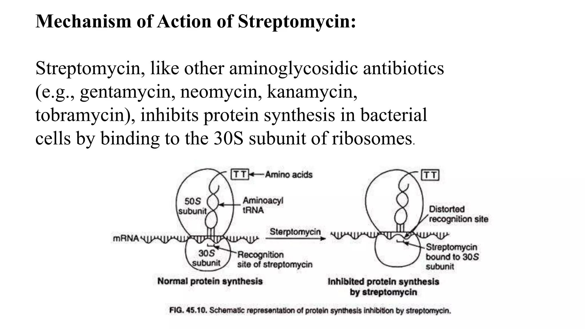 Streptomycin structural features | PPTX
