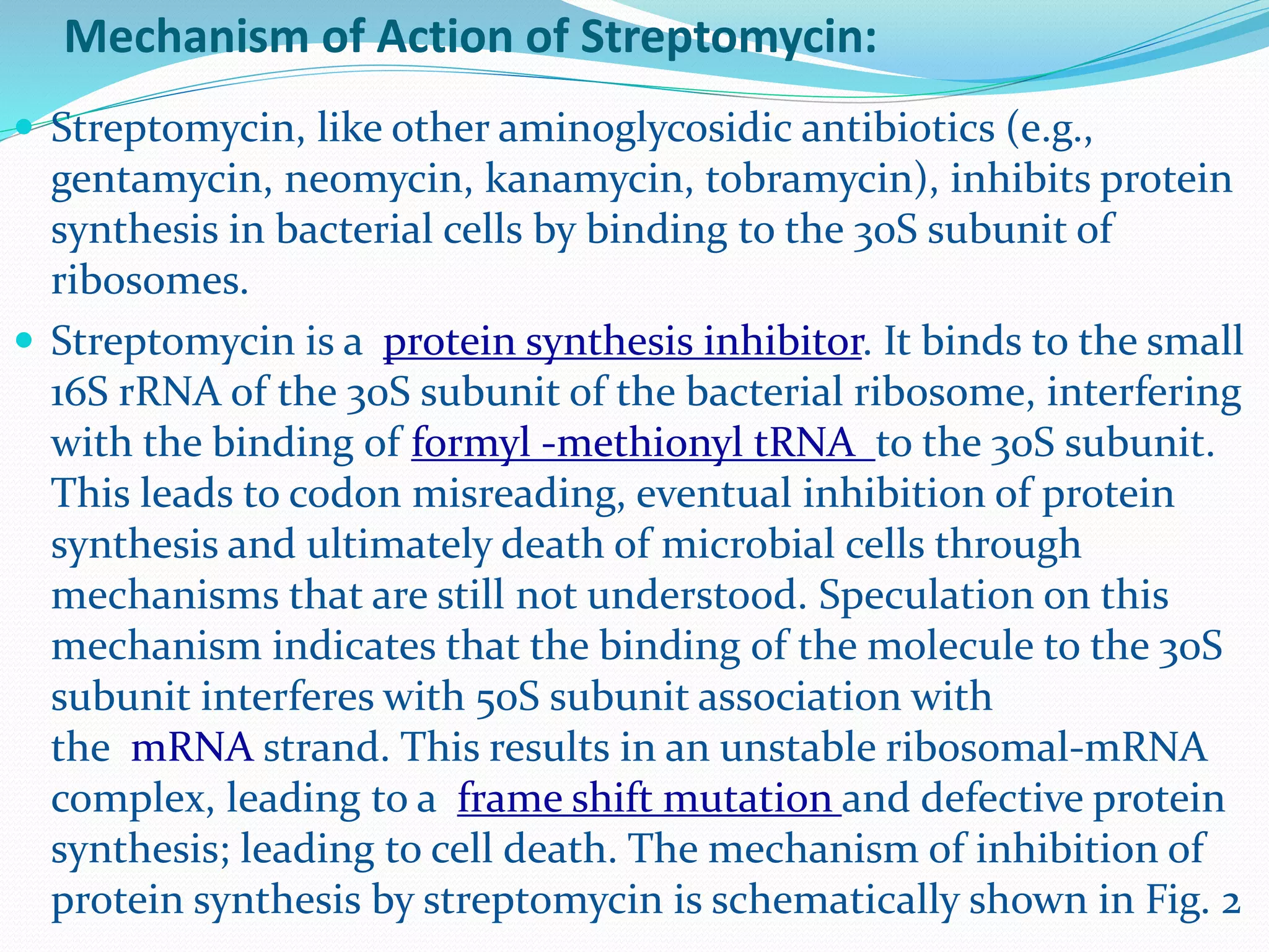 Streptomycin production | PPT