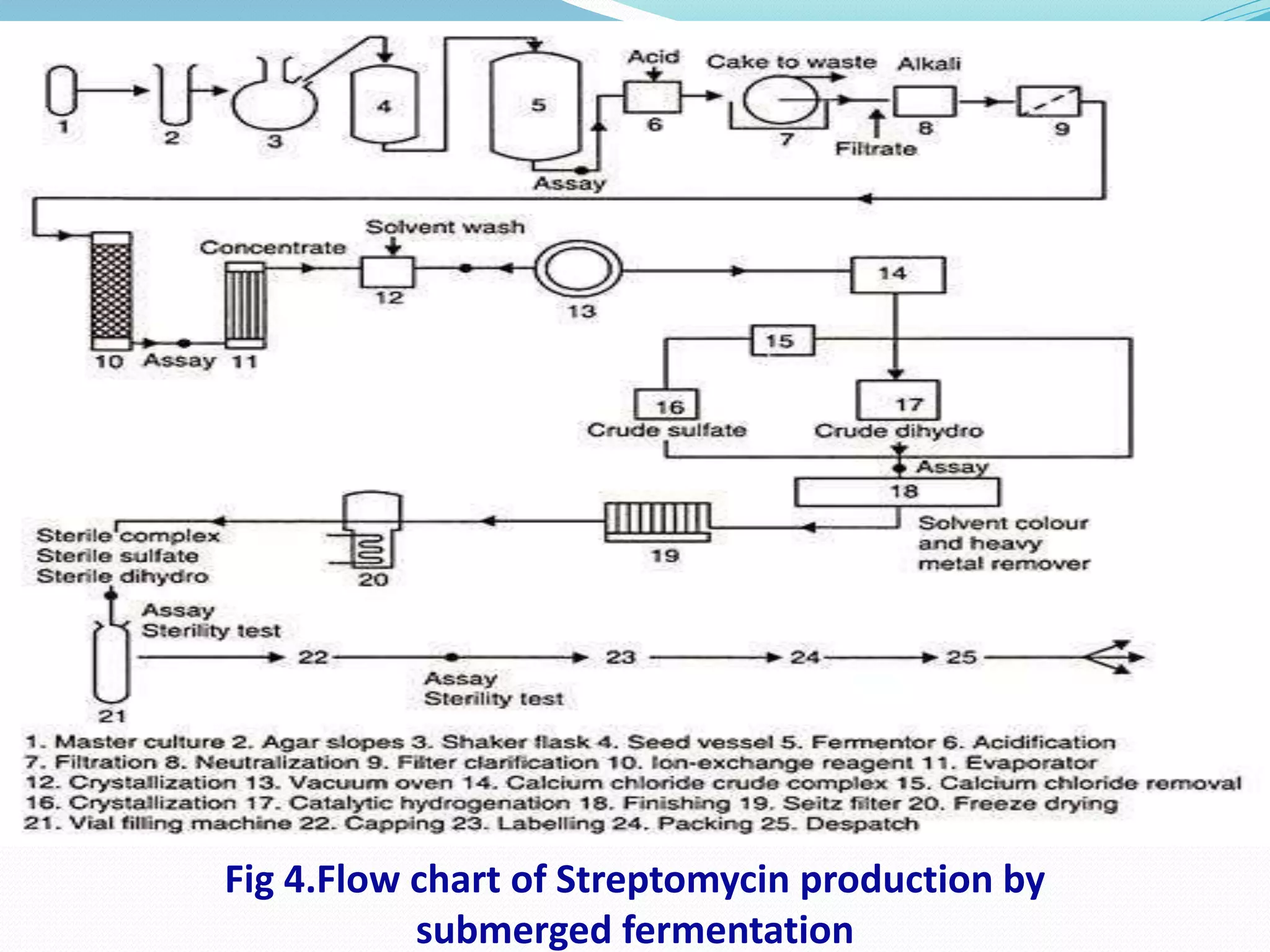 Streptomycin production | PPT
