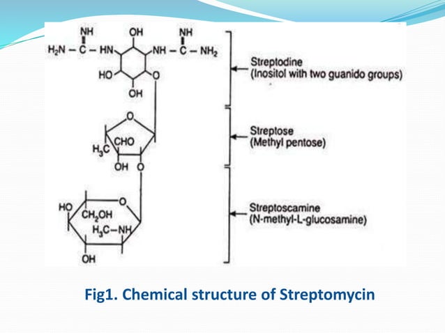 Streptomycin production | PPT | Biotech and Biomedical Industry ...