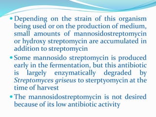 Streptomycin production | PPT