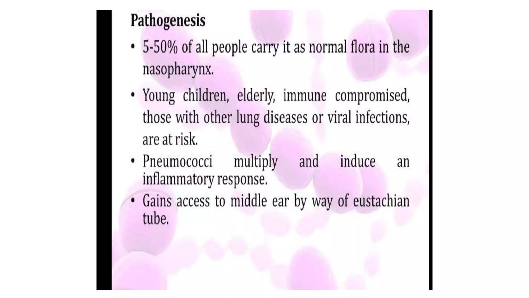 strepto vs staphylo present (2).pptx