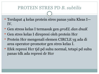 Respon STRES PROTEIN or Protein Stress.pptx