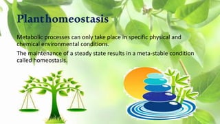 plant biotic and abiotic stress | PPTX