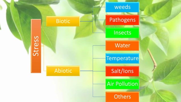 plant biotic and abiotic stress | PPTX