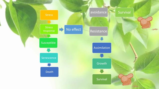 plant biotic and abiotic stress | PPTX