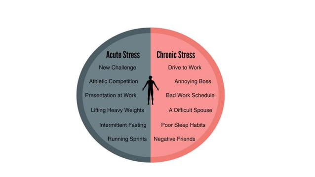 Stress: Types and Sources | PPTX