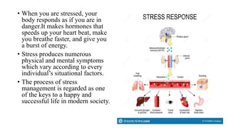 STRESS.pptx
