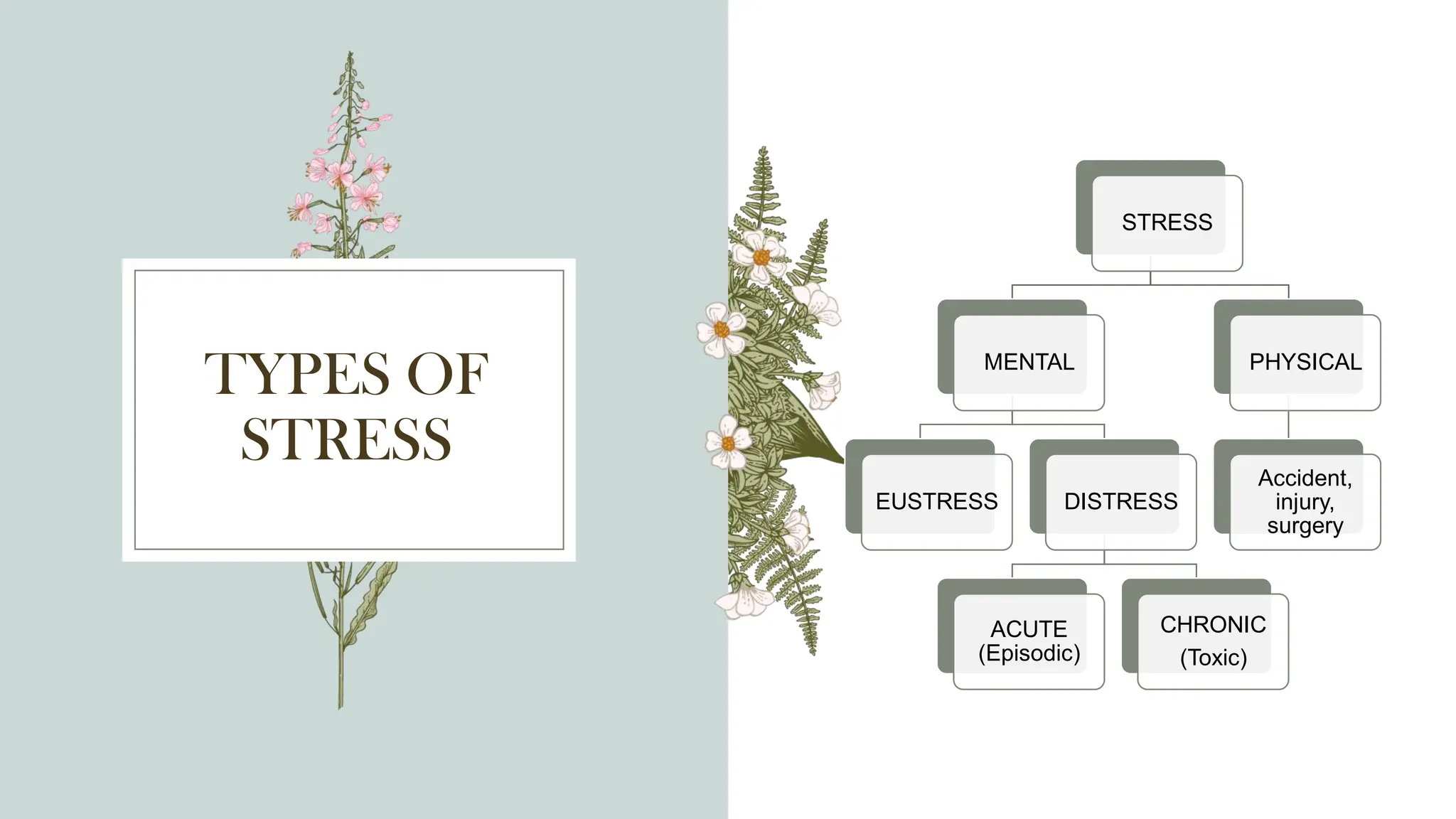 Yoga and stress management, yogic and scientific perspective | PDF