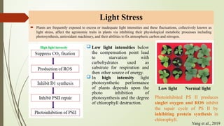 stress-definition and classification.pptx