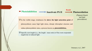 stress-definition and classification.pptx