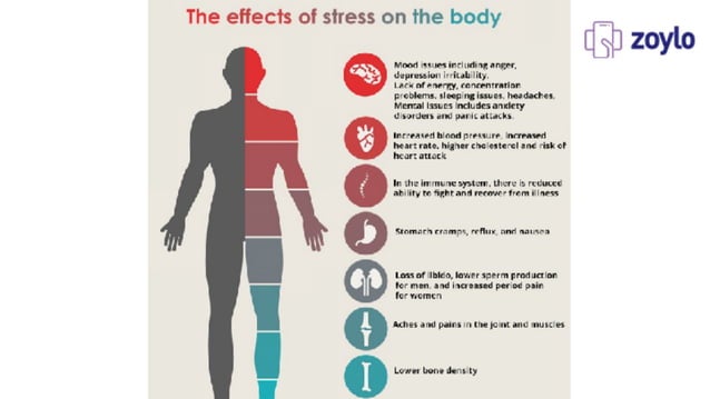 How does stress affect your heart? | PDF | Heart and Cardiovascular ...