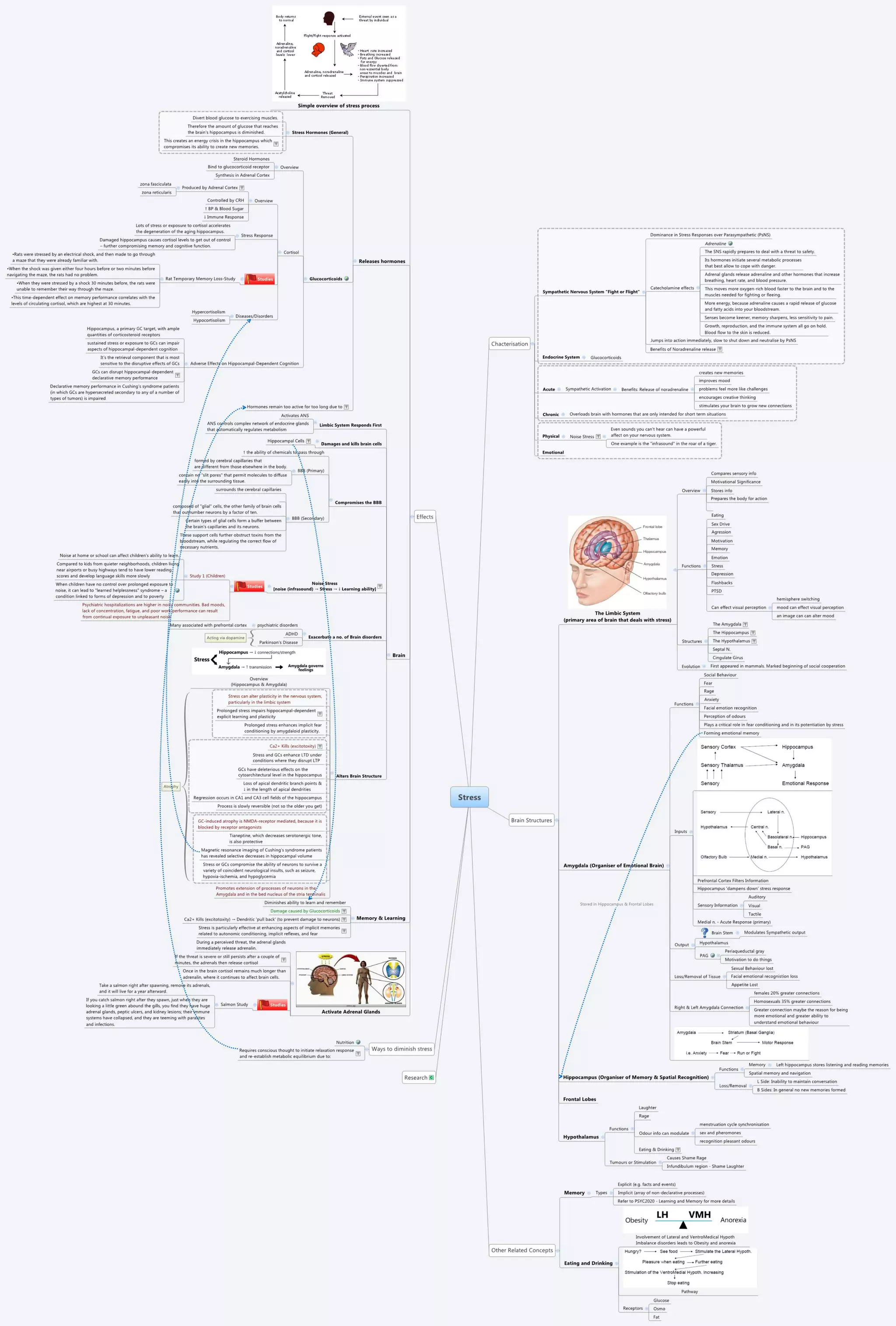 Stress - Mind Map | PDF