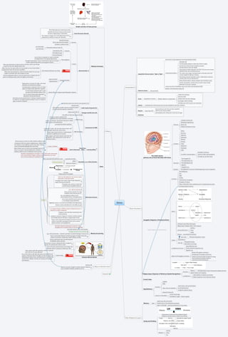 Stress - Mind Map | PDF