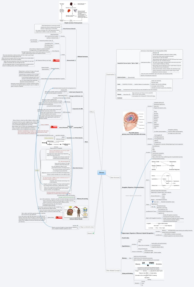 Stress - Mind Map | PDF