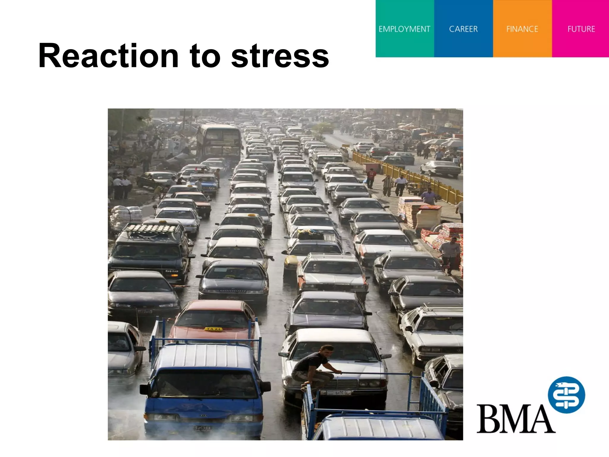 Stress Presentation | PPT