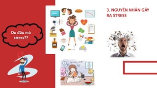 SLIDE thuyết trình về Stress.pptx