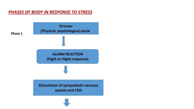 Stress adaptation.pptx