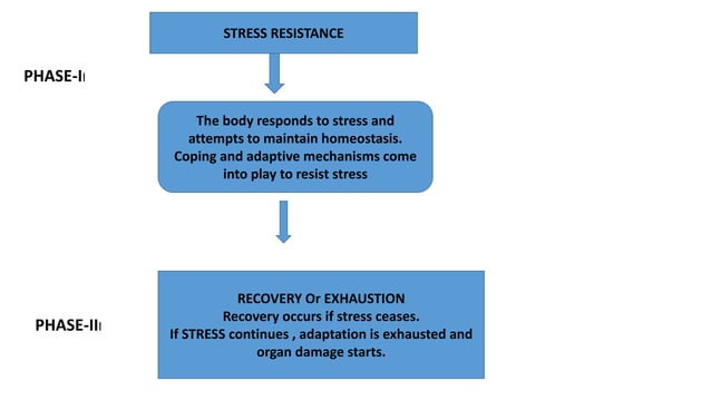 Stress adaptation.pptx