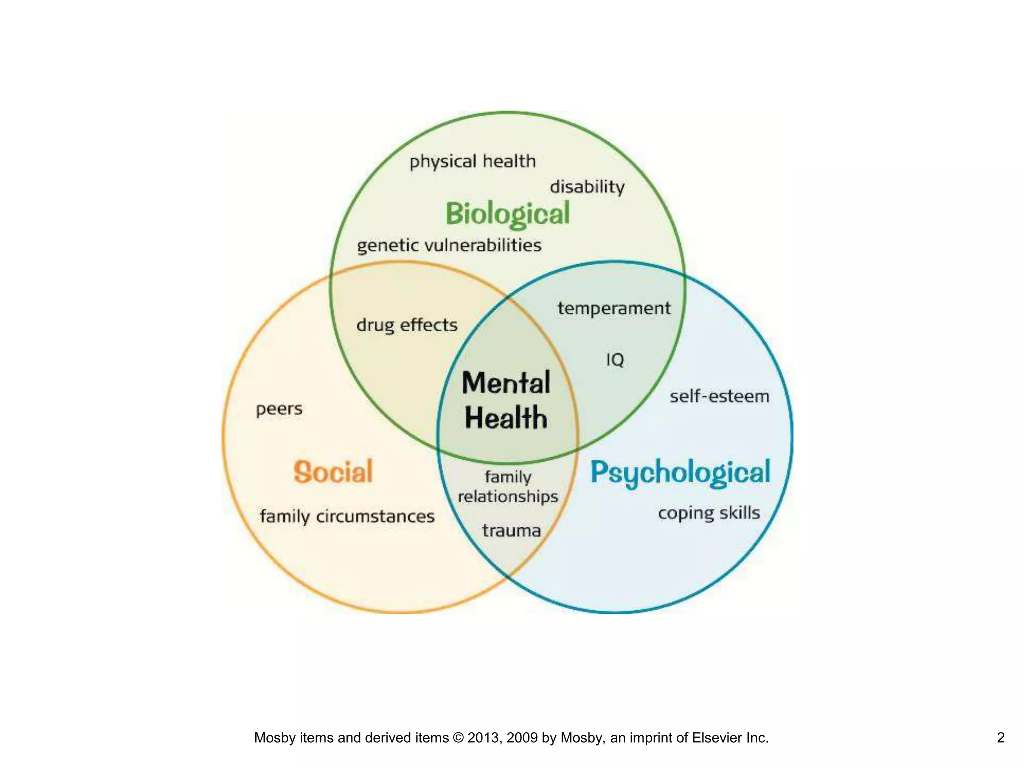 stress adaptation cycle.pptx