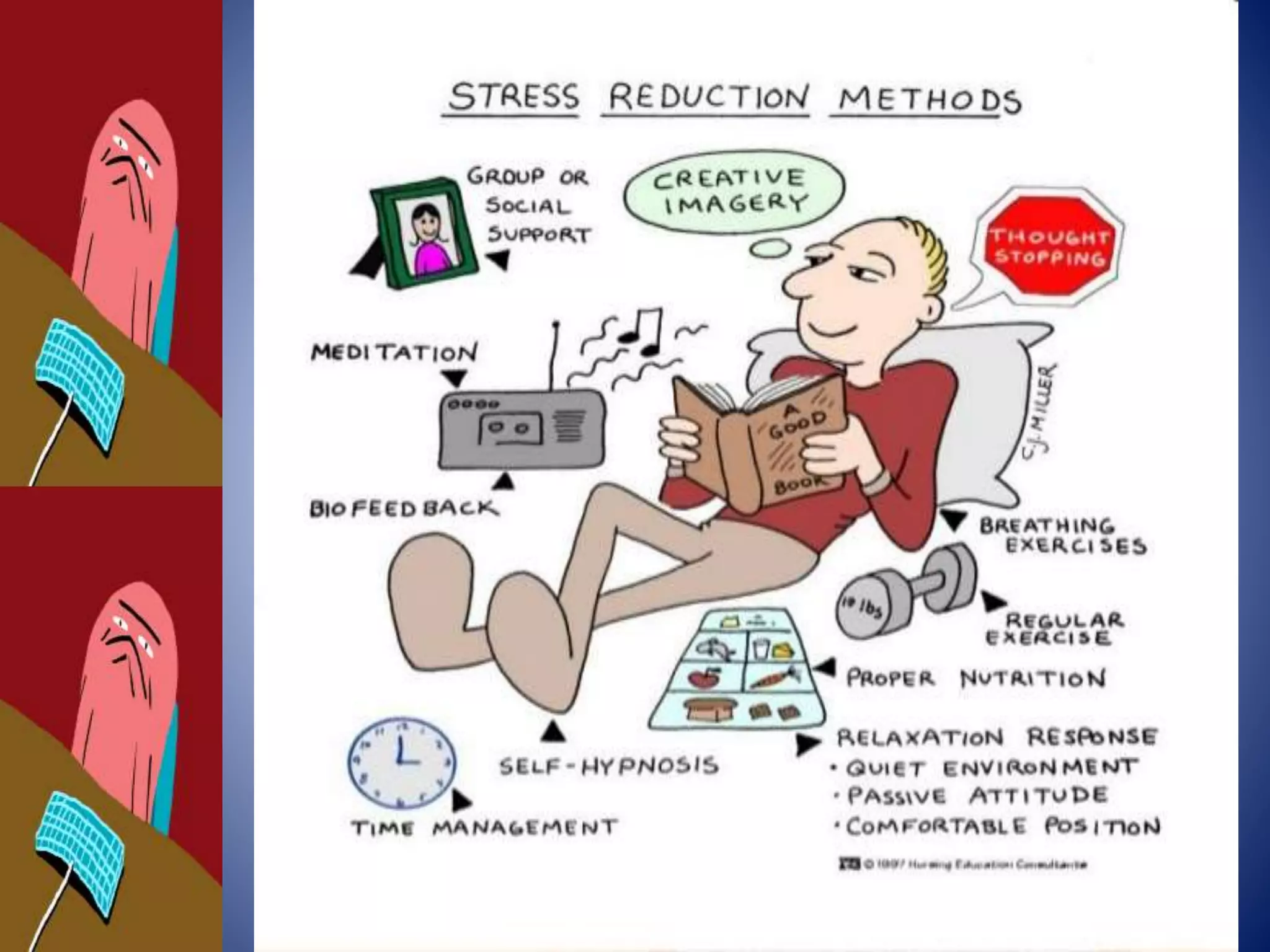 Stress and adaptation | PPTX