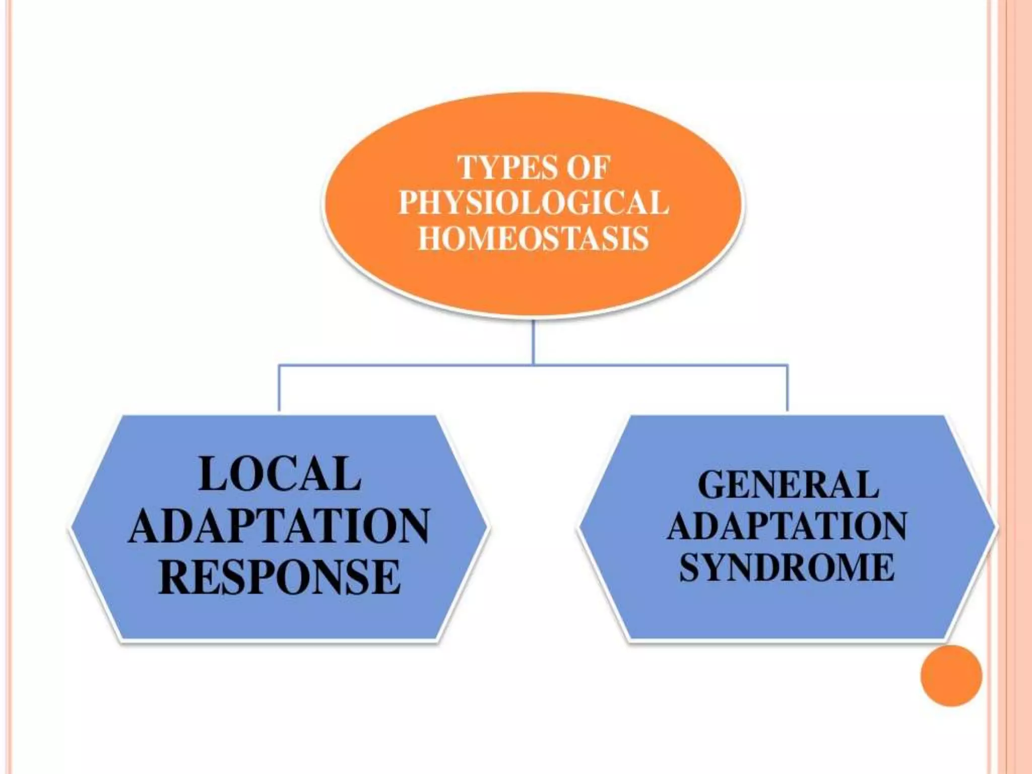 stress and adaptation ppt.pptx