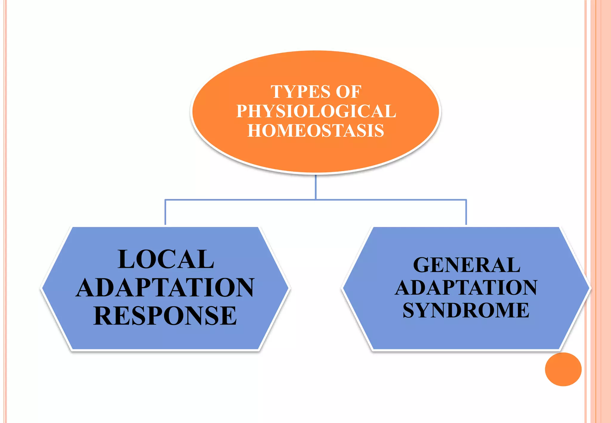 Stress and adaptatiton | PPTX