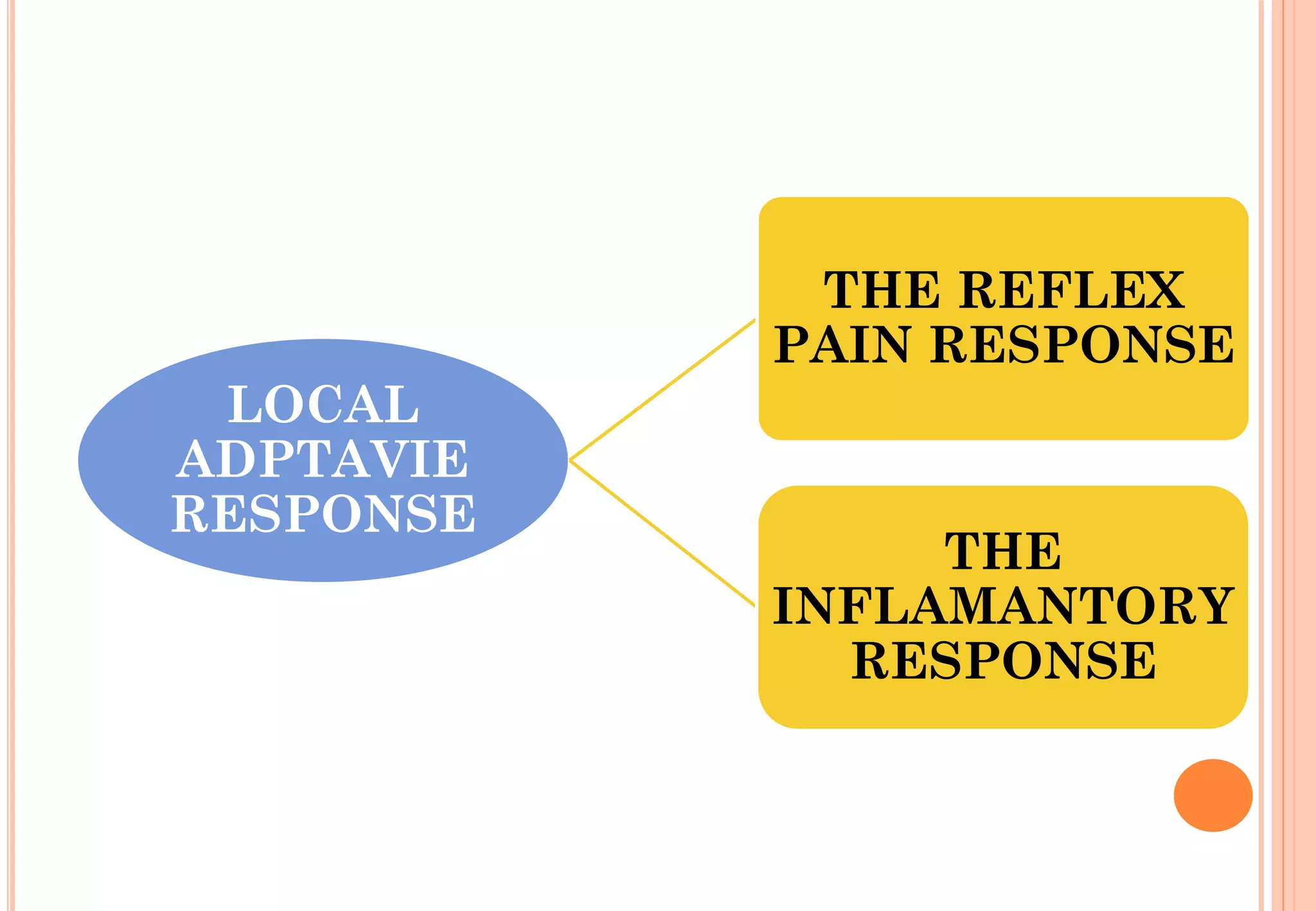 Stress and adaptatiton | PPTX