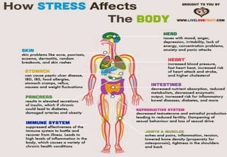 Stress and adaptatiton | PPTX