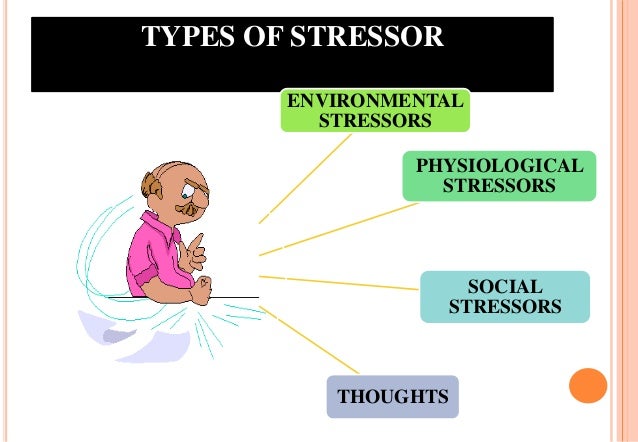 Stress and adaptatiton